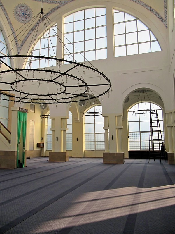 The Road to Montenegro | Cape to Milan